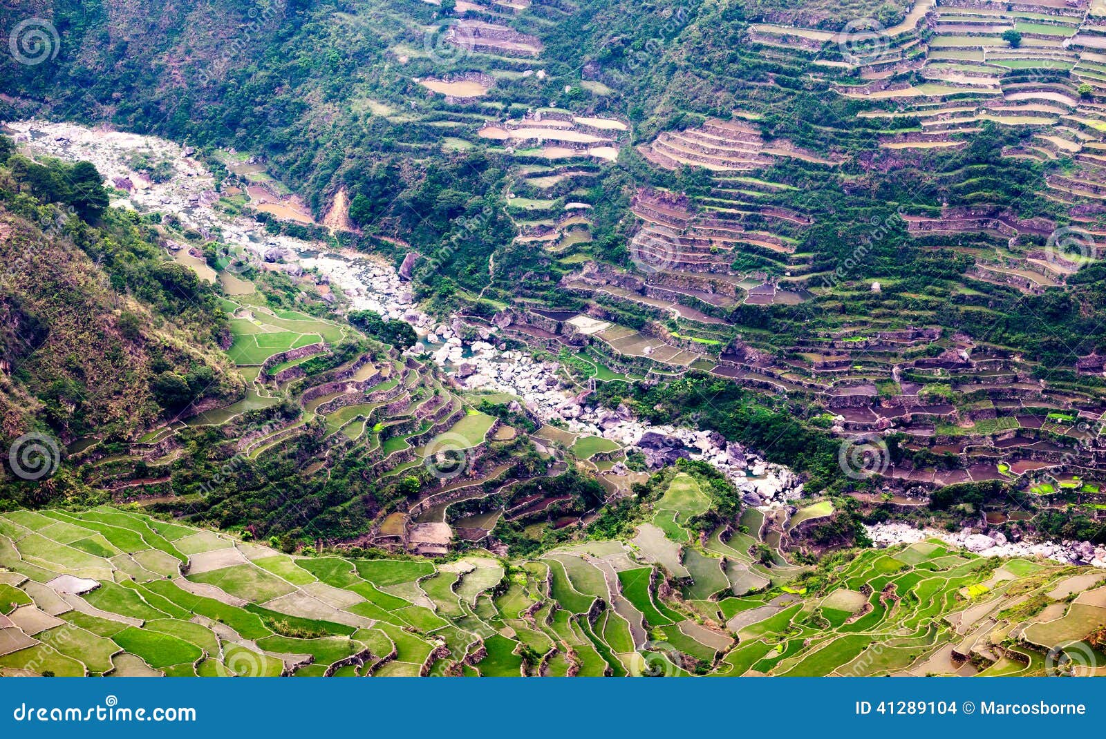 Rice Tarraces of Ifugao stock photo. Image of site, agriculture - 41289104