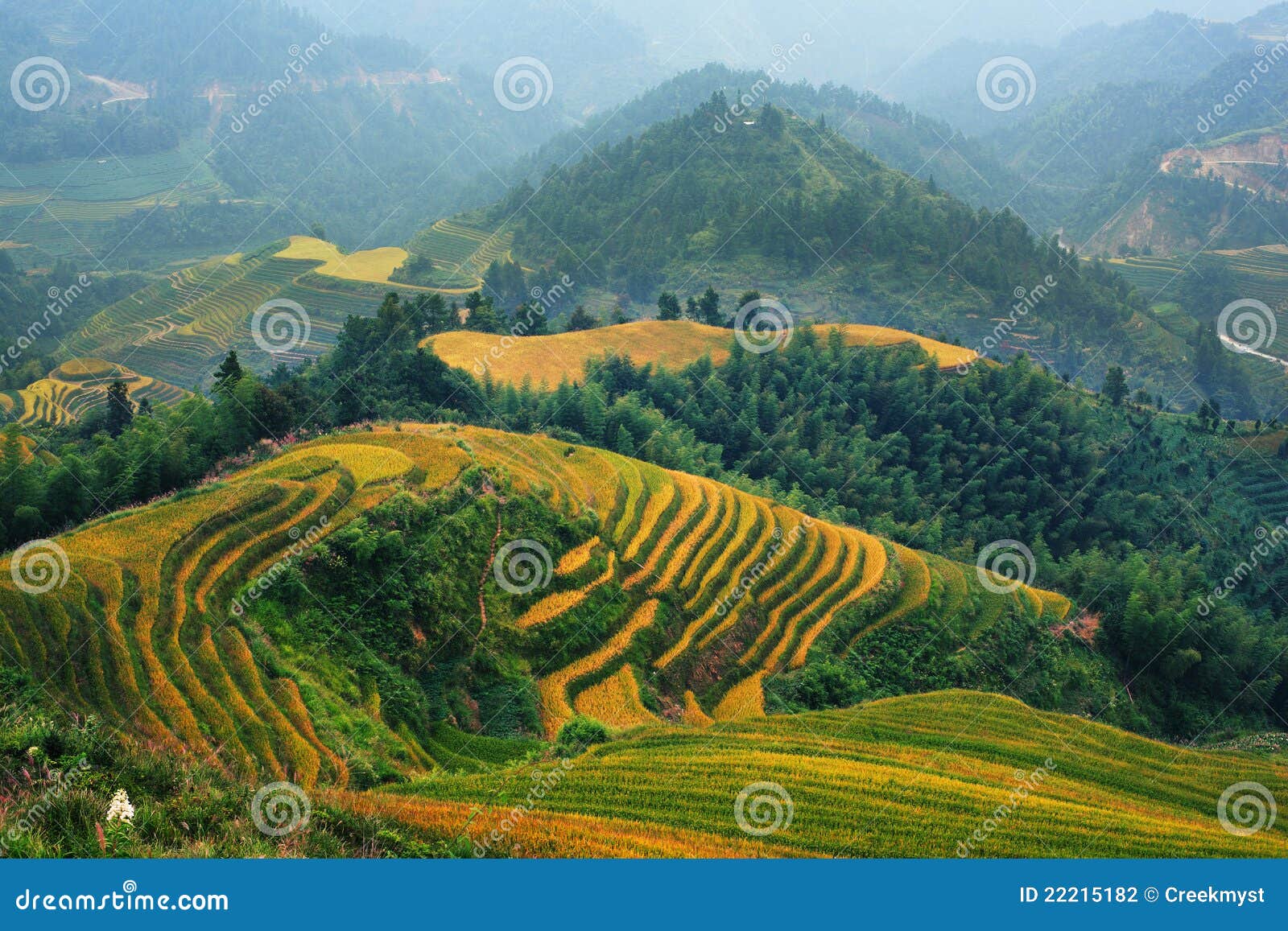 Rice terrace stock photo. Image of guangxi, arts, journey - 22215182