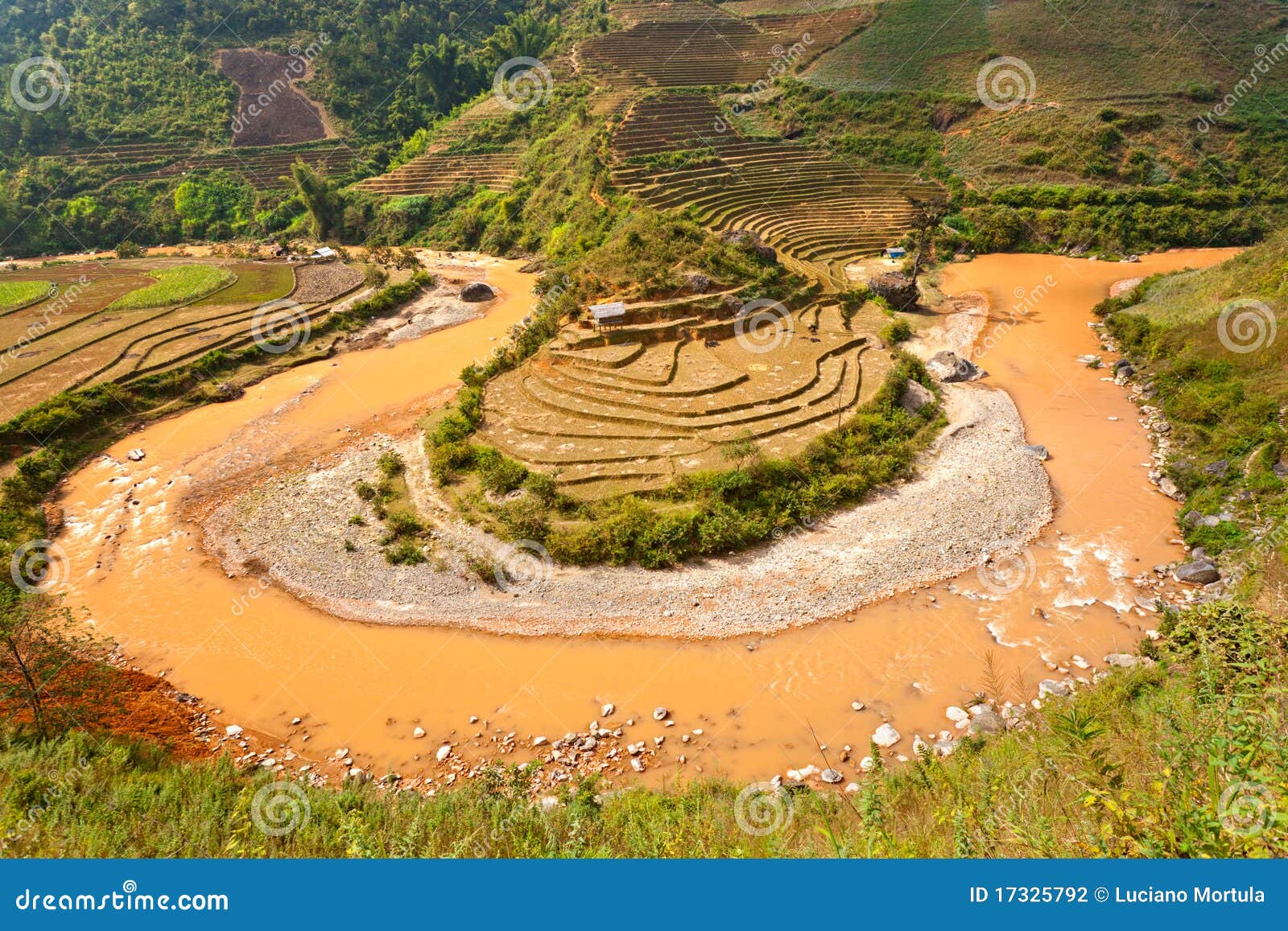 Rice Terrace Field and River in North Vietnam. Stock Photo - Image of ...