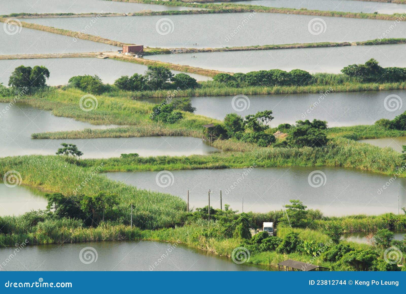 Rice terrace landscape stock photo. Image of cloud, background - 23812744