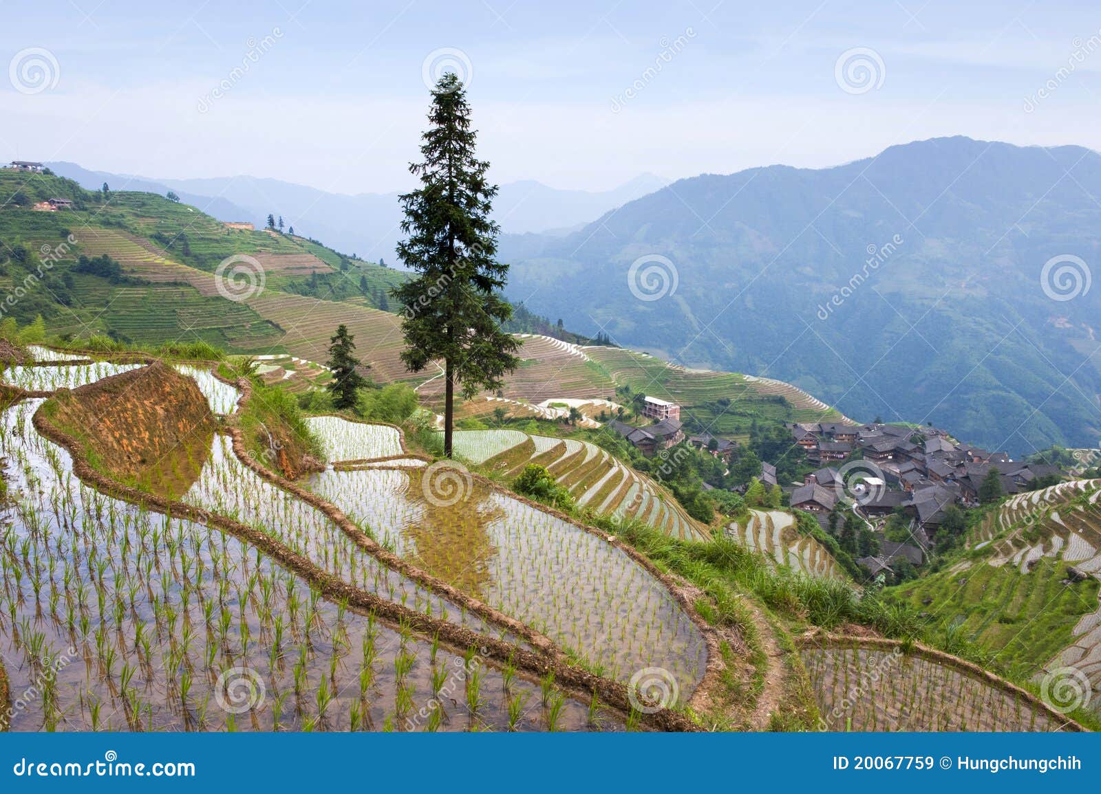 Rice Terrace Landscape in China Stock Image - Image of asian, ethnic ...