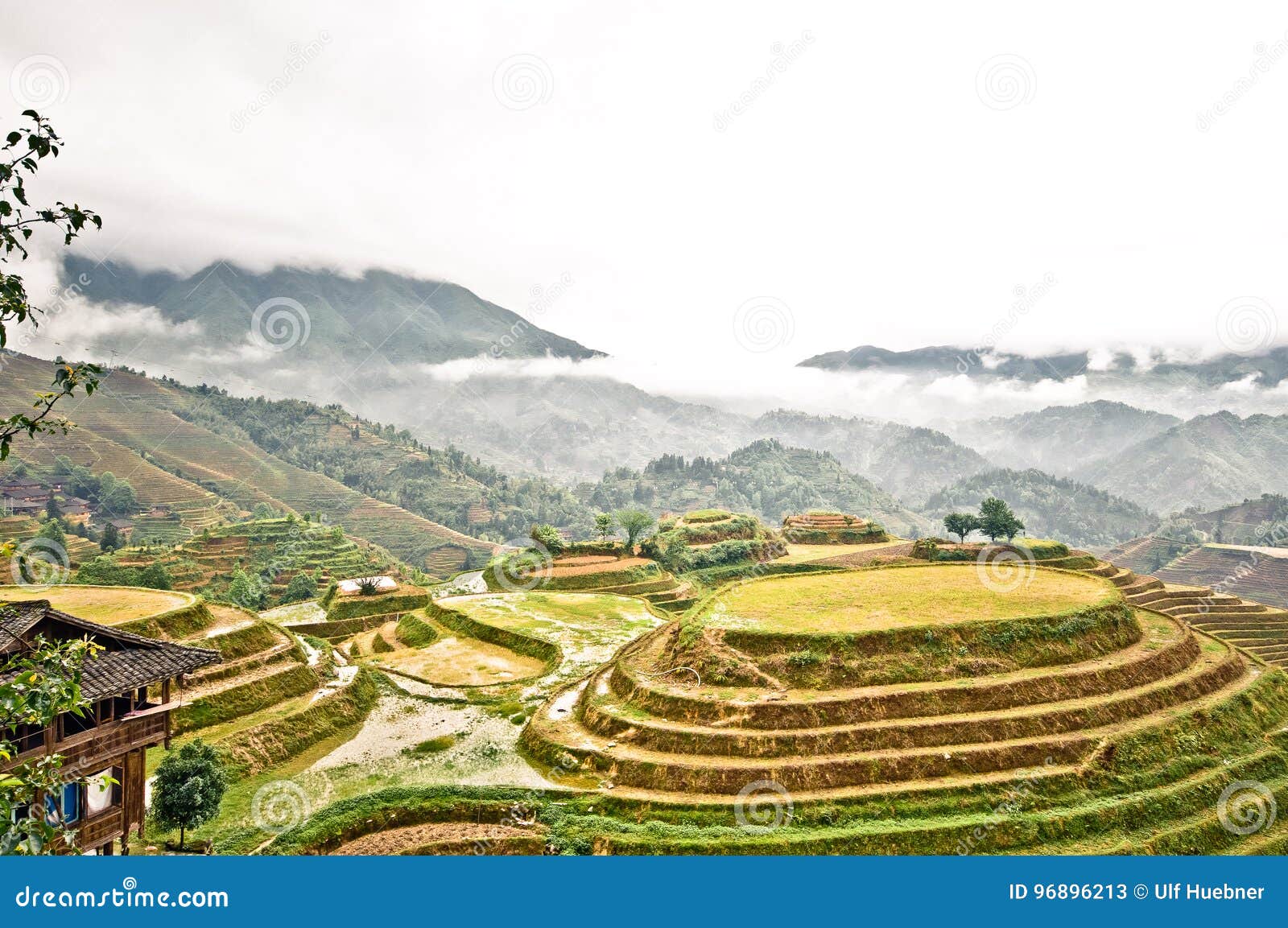 Rice Terrace of Longsheng in China Stock Image - Image of china, fields ...