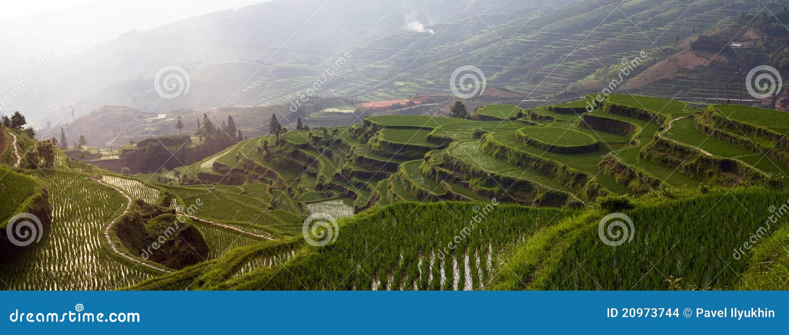Rice Terrace on the Mountain Stock Photo - Image of traditional ...
