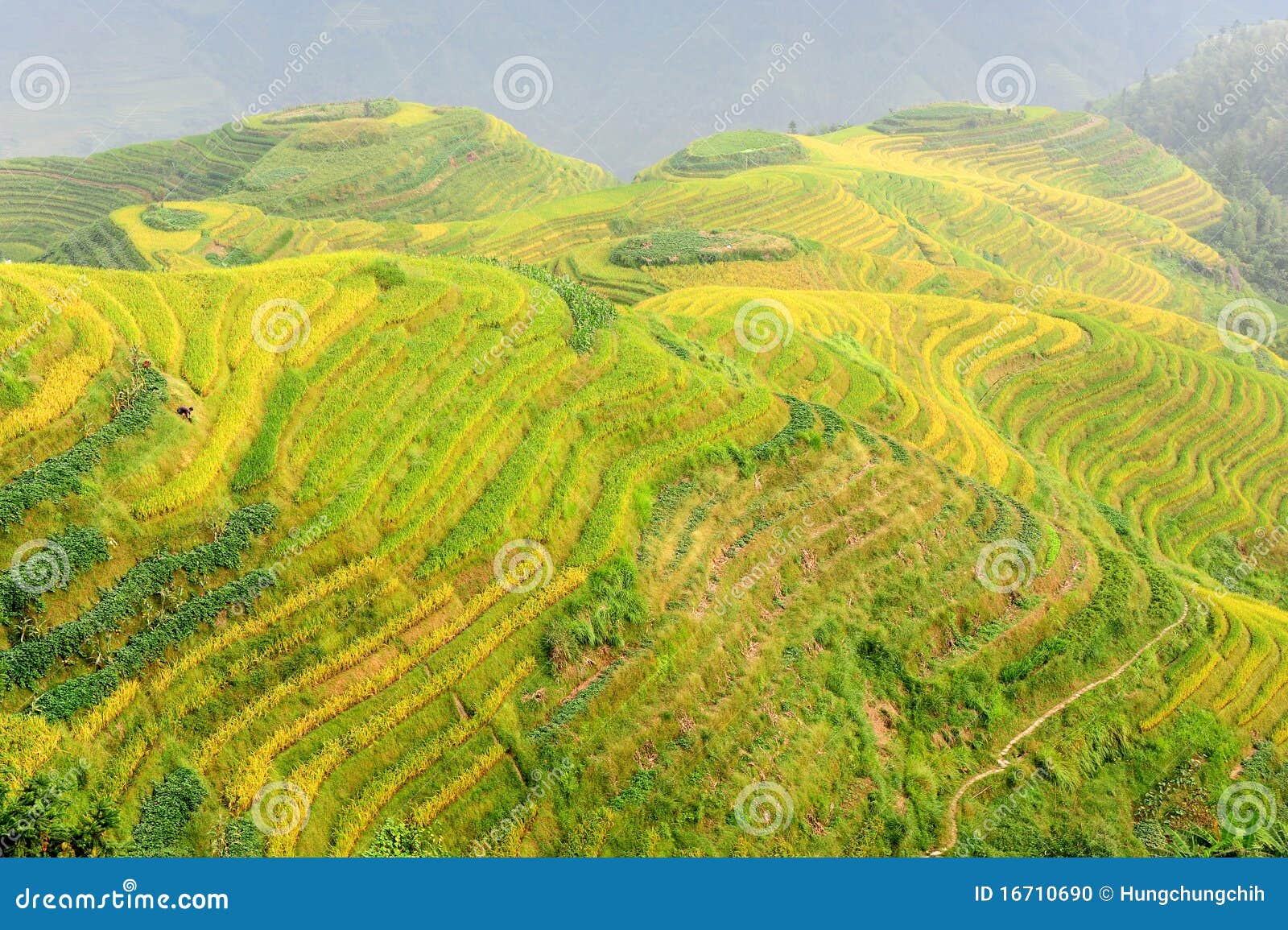 Rice terraces stock photo. Image of longsheng, farmland - 16710690