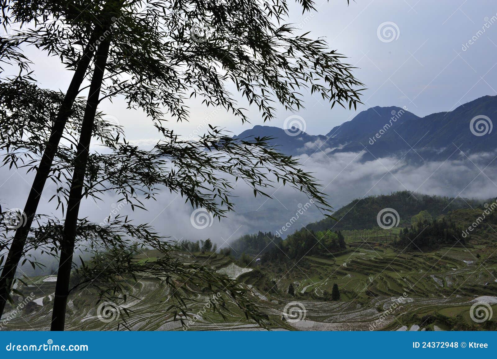 Rice Terraces stock photo. Image of water, traditional - 24372948