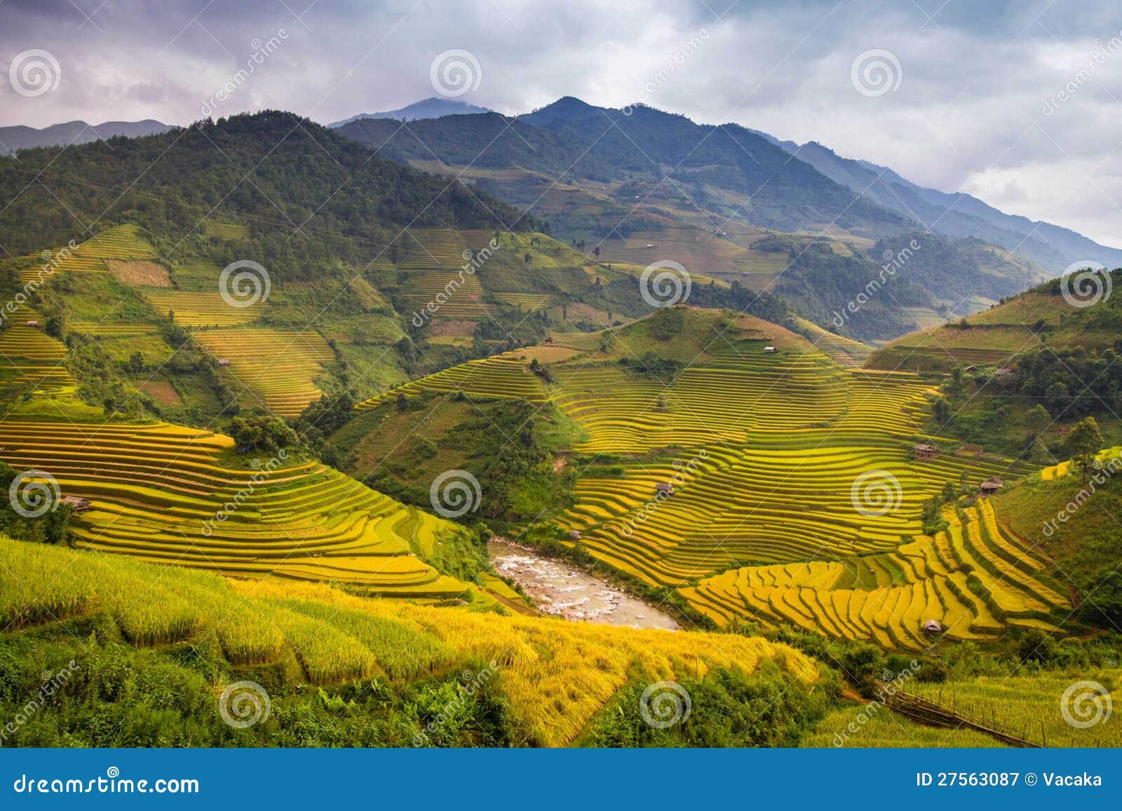 Rice Terraces stock image. Image of china, growing, hmong - 27563087