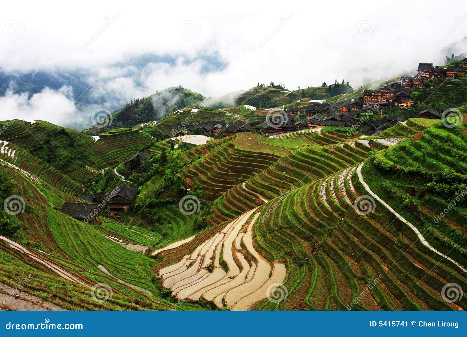 Rice terraces stock image. Image of morning, idyllic, ethnic - 5415741