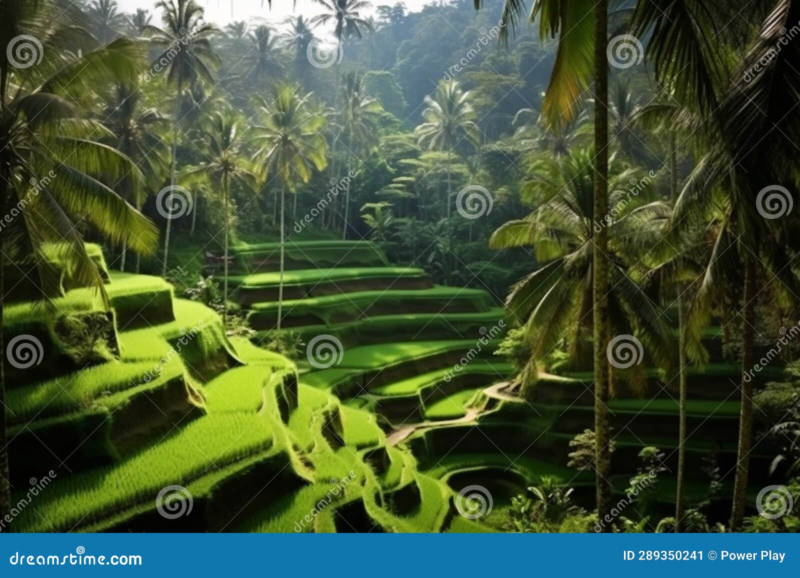Rice Terraces in Bali Island, Indonesia. 3D Rendering Stock ...