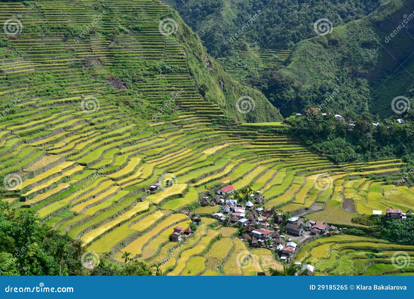 Rice terraces in Batad stock image. Image of philippines - 29185265
