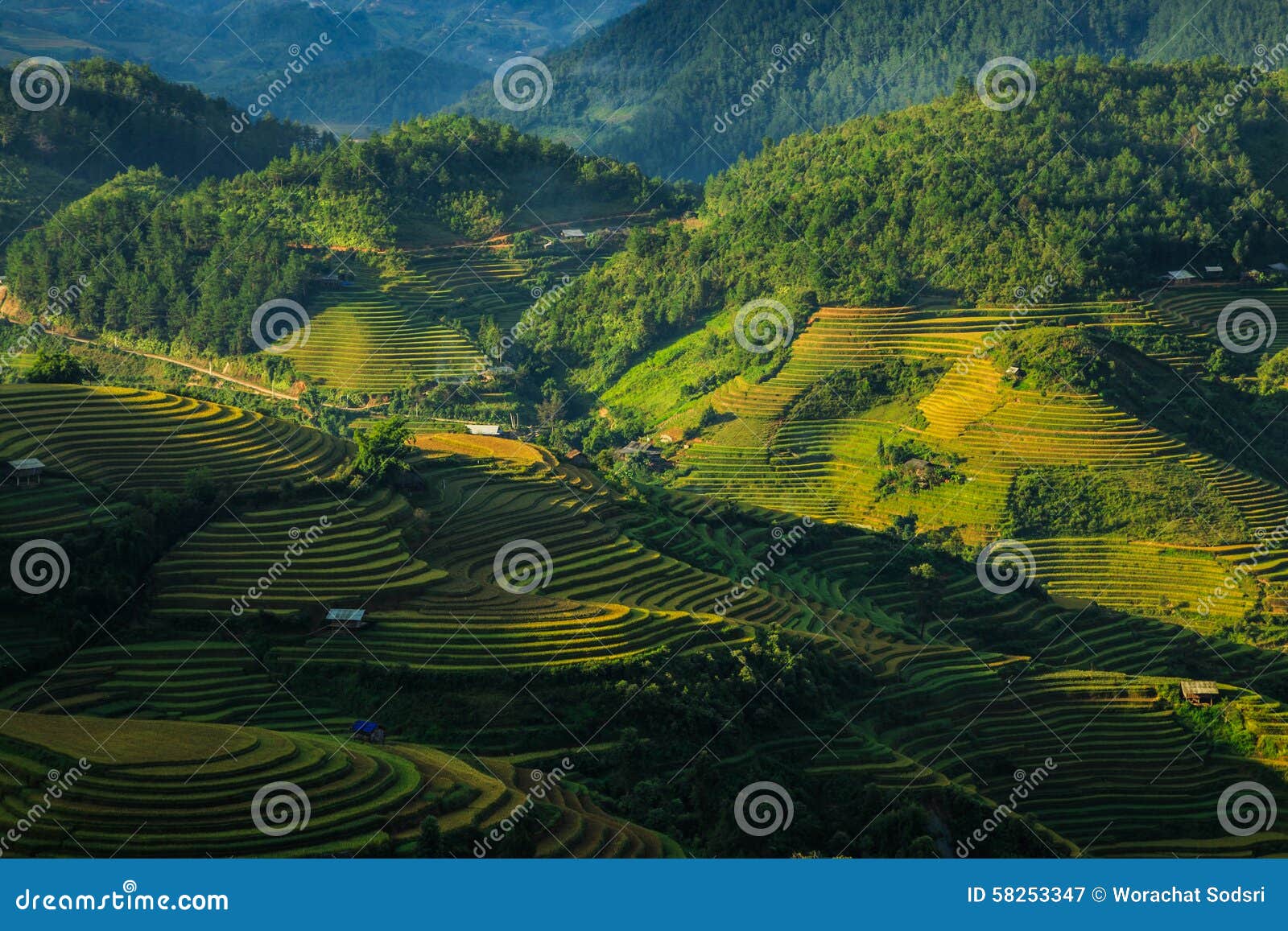 Rice terraces stock image. Image of land, landscape, hills - 58253347