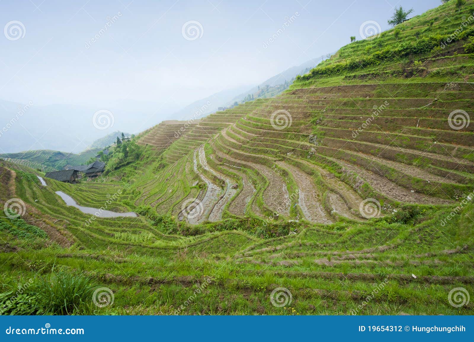 Rice terraces in China stock photo. Image of minority - 19654312