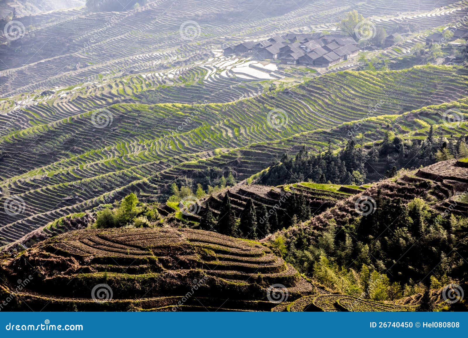 Rice Terraces in Longsheng, China Stock Photo - Image of plantation ...