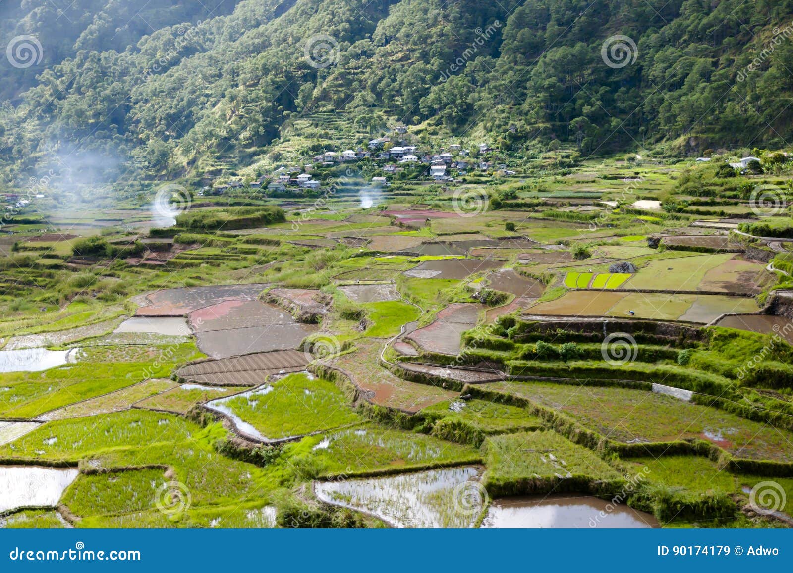 Rice Terraces - Luzon - Philippines Stock Image - Image of outdoor ...