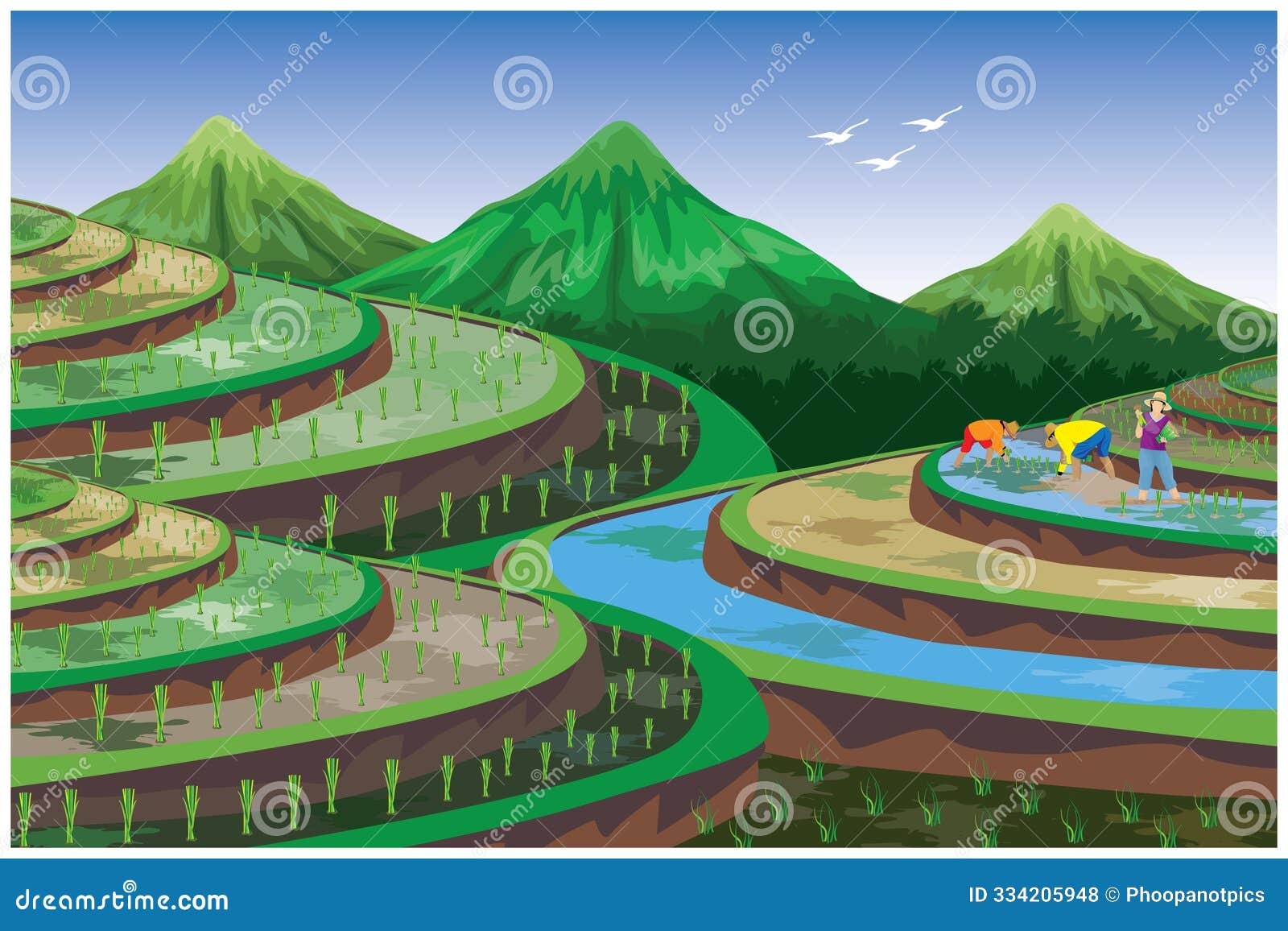 Rice Terraces At Sunset In Vietnam, Vector Art Illustration. Royalty ...