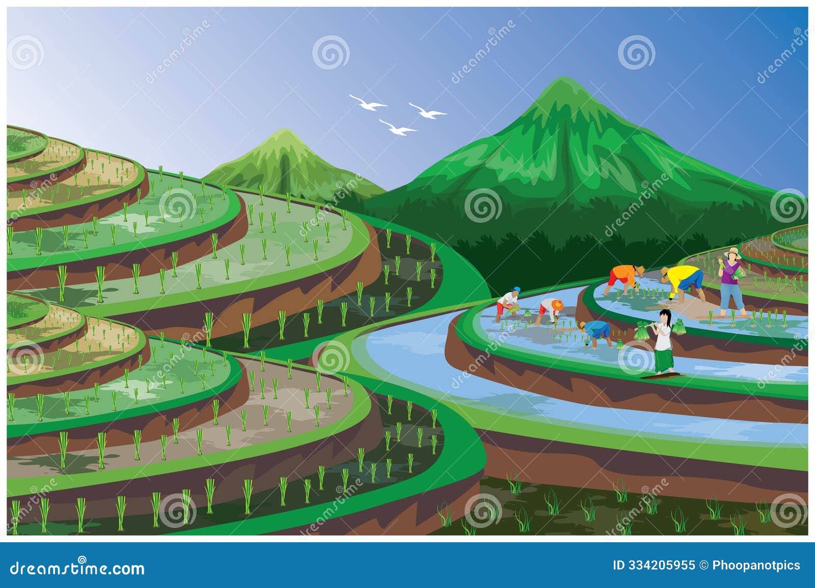 Rice Terraces on the Mountain Design Stock Vector - Illustration of ...