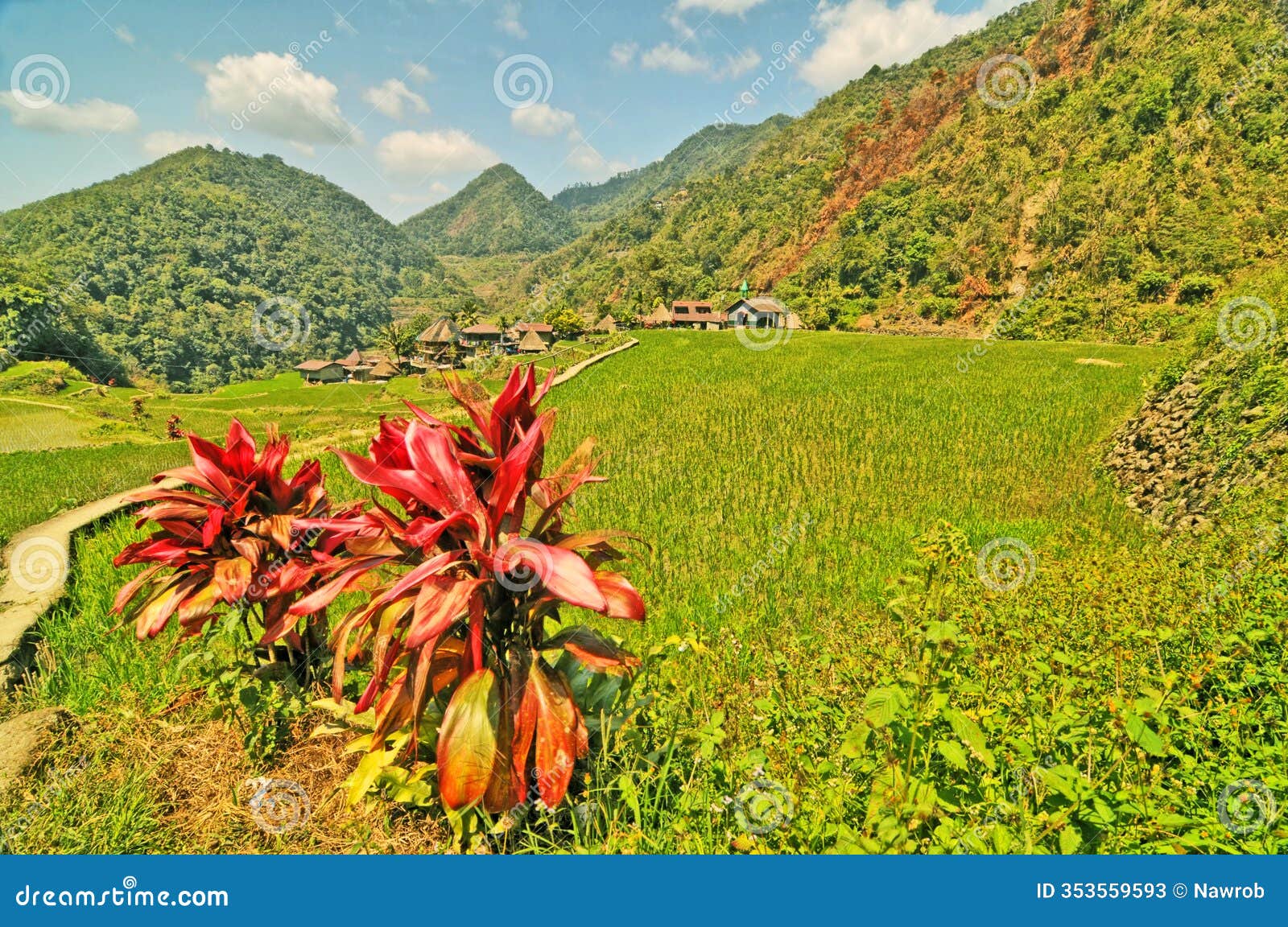 Rice Terraces of the Philippine Cordilleras. Stock Image - Image of ...