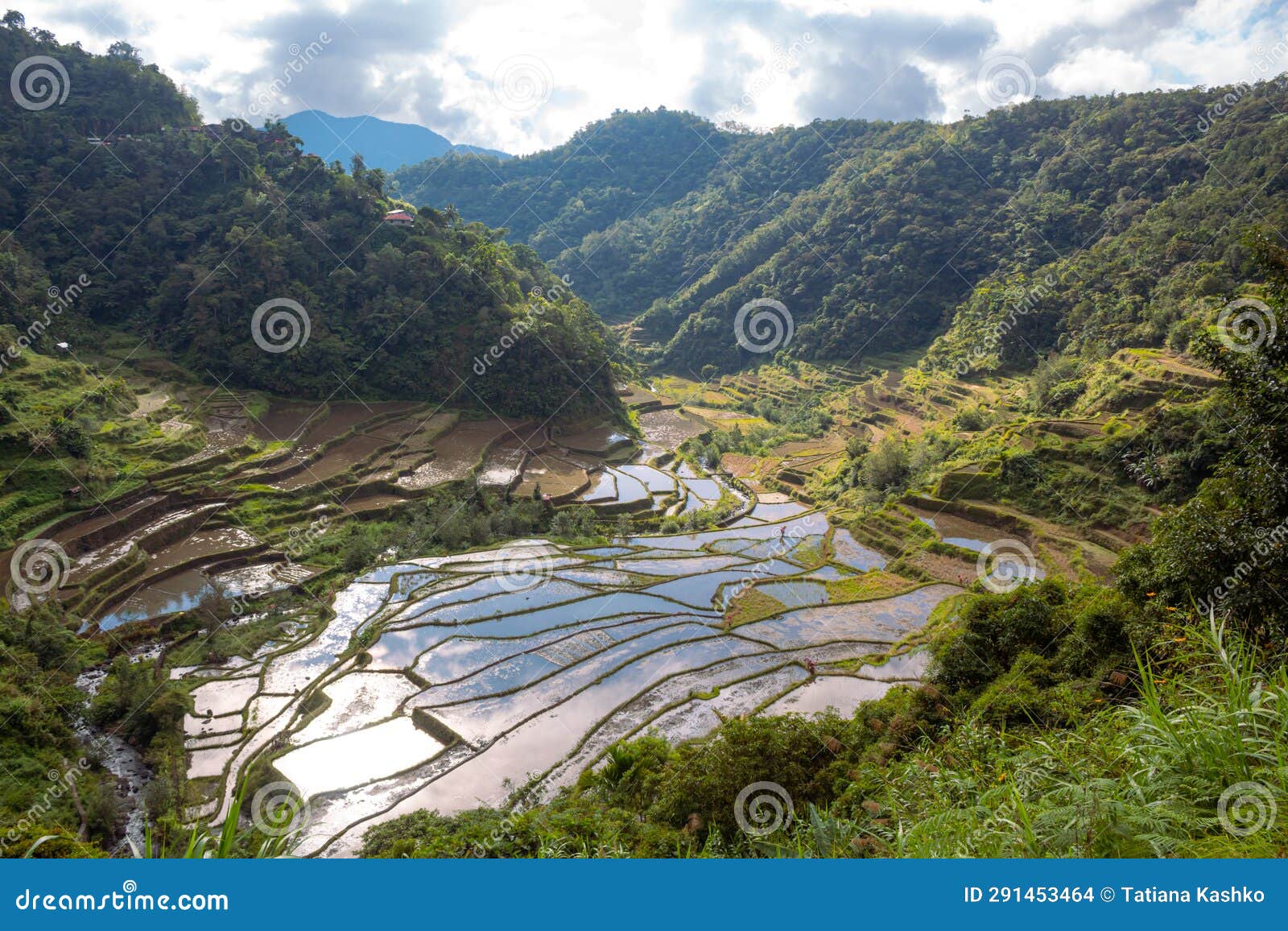 Rice Terraces in Philippines. Rice Paddies Valley of Batad, Philippines ...