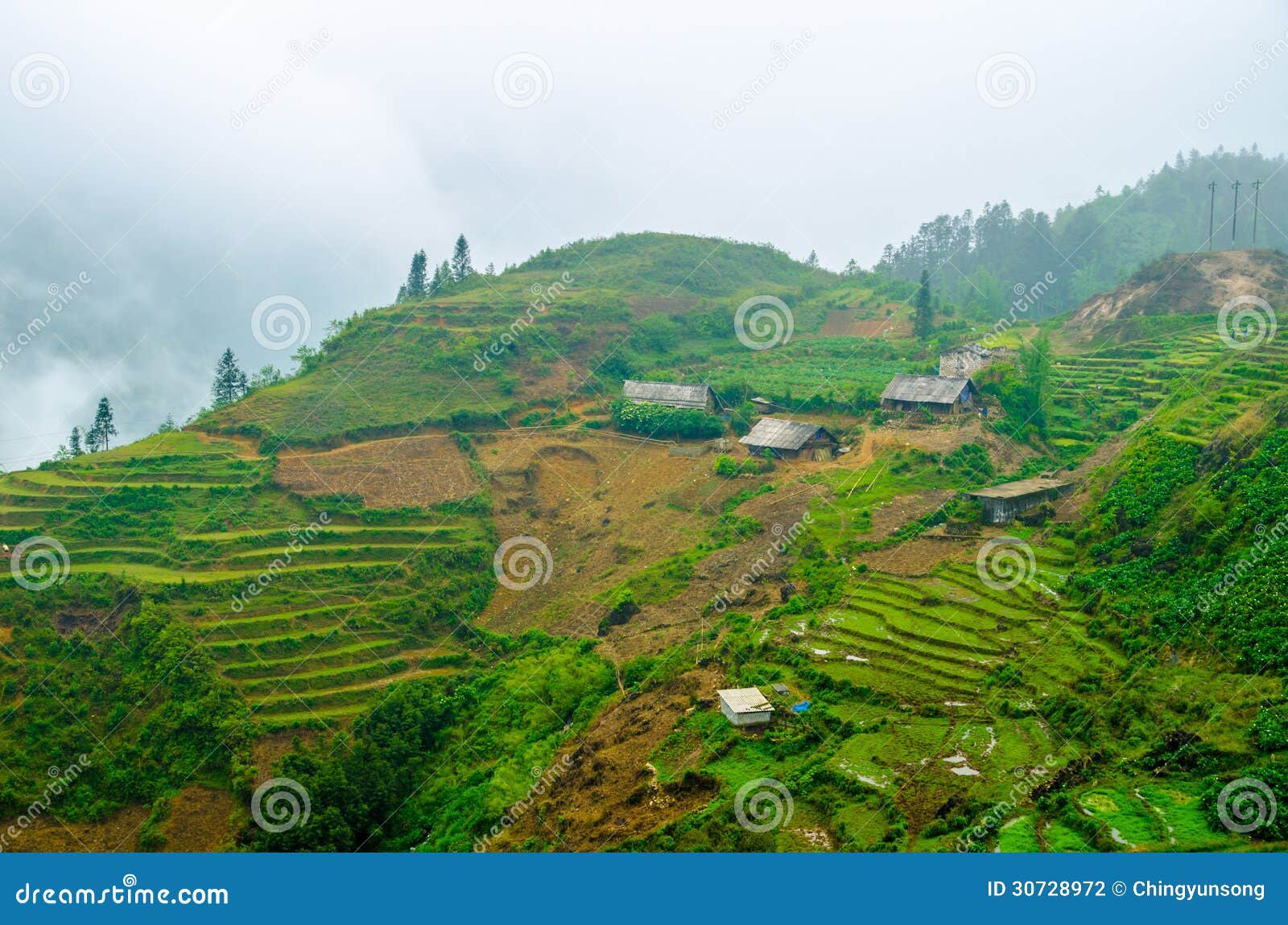 Rice Terraces in Sapa, Vietnam Stock Photo - Image of cultivation ...