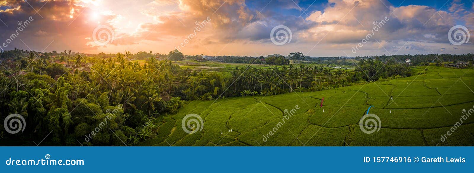 Rice terraces at sunrise stock photo. Image of sunset - 157746916