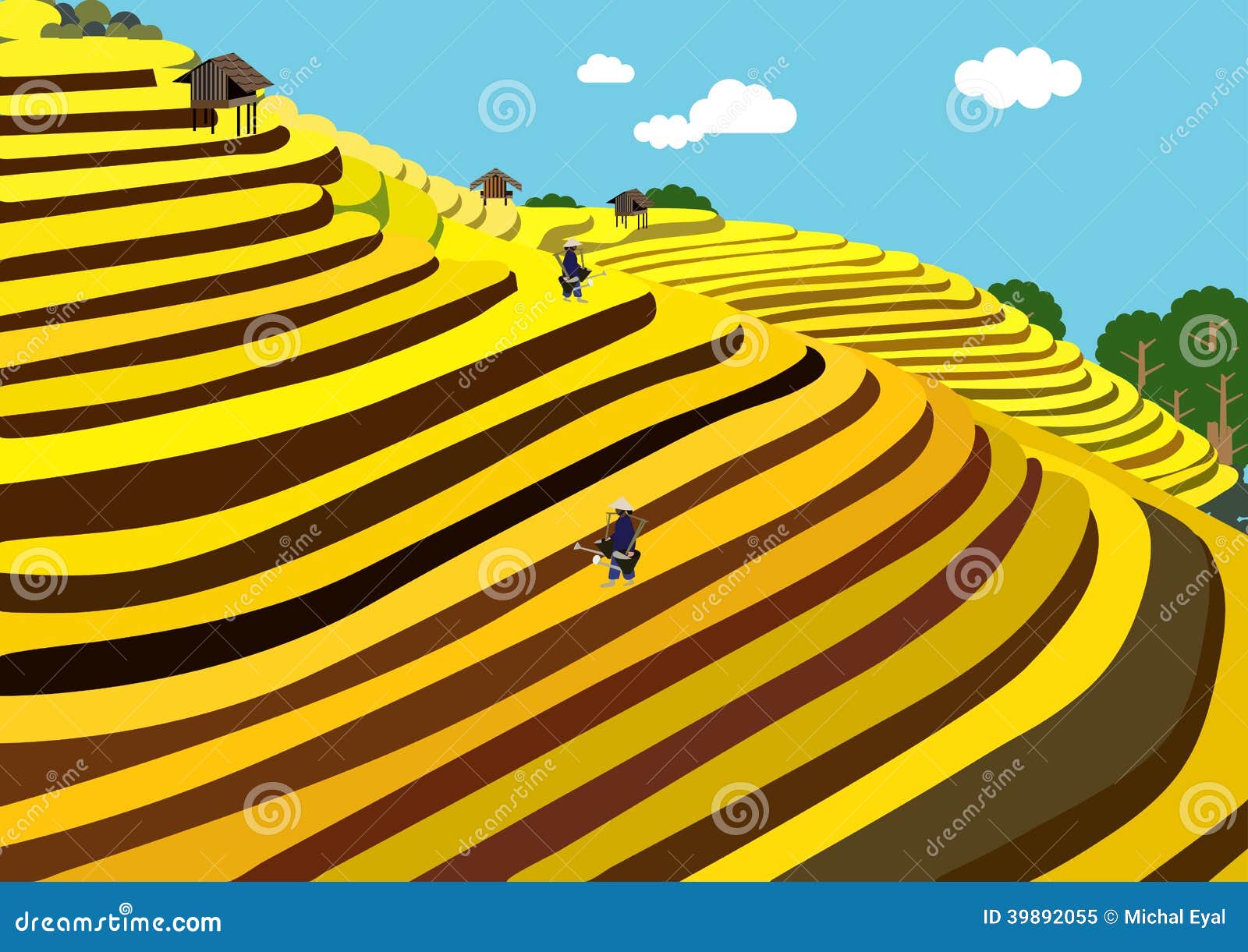 Set Of Rice Terraces In Vertical Orientation. Vector Illustration ...