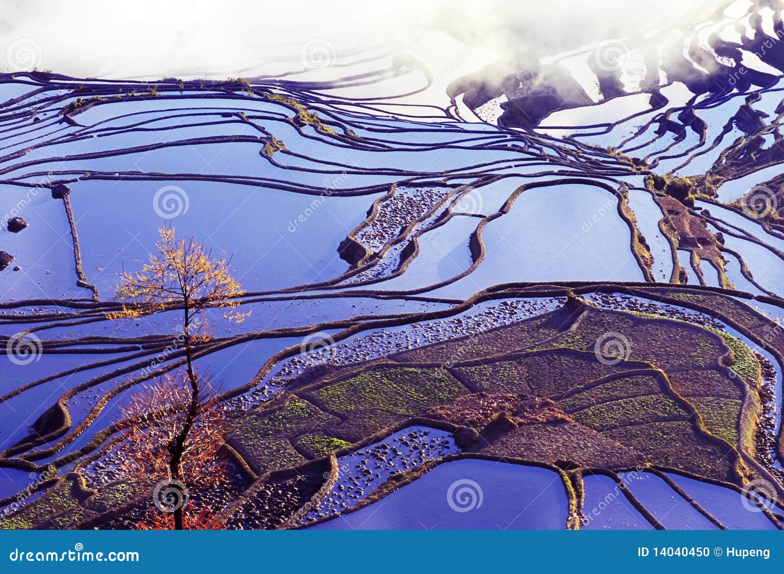 Rice Terraces At Longsheng, China Royalty-Free Stock Photo ...