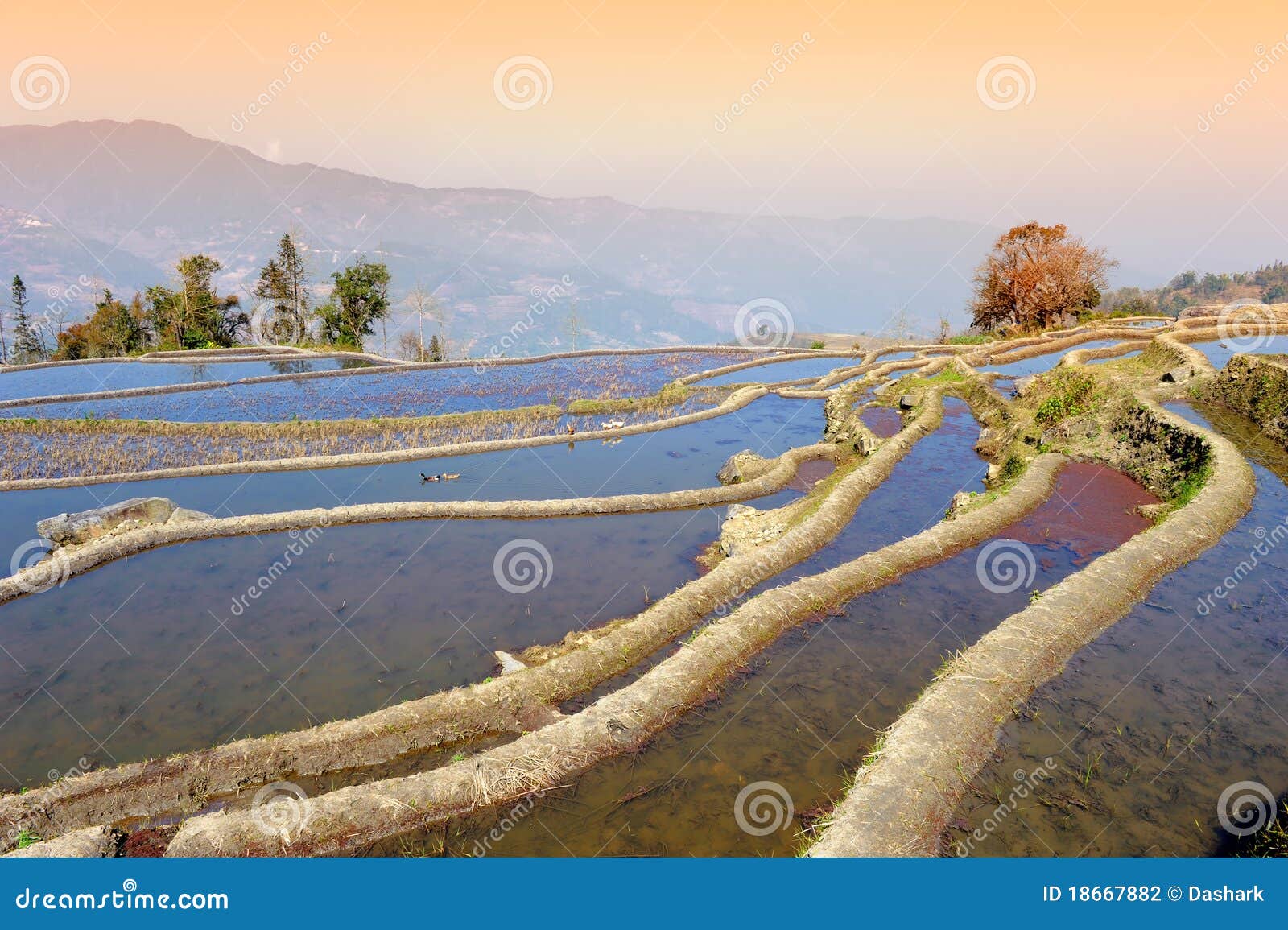 Rice terraces of yuanyang stock photo. Image of pattern - 18667882