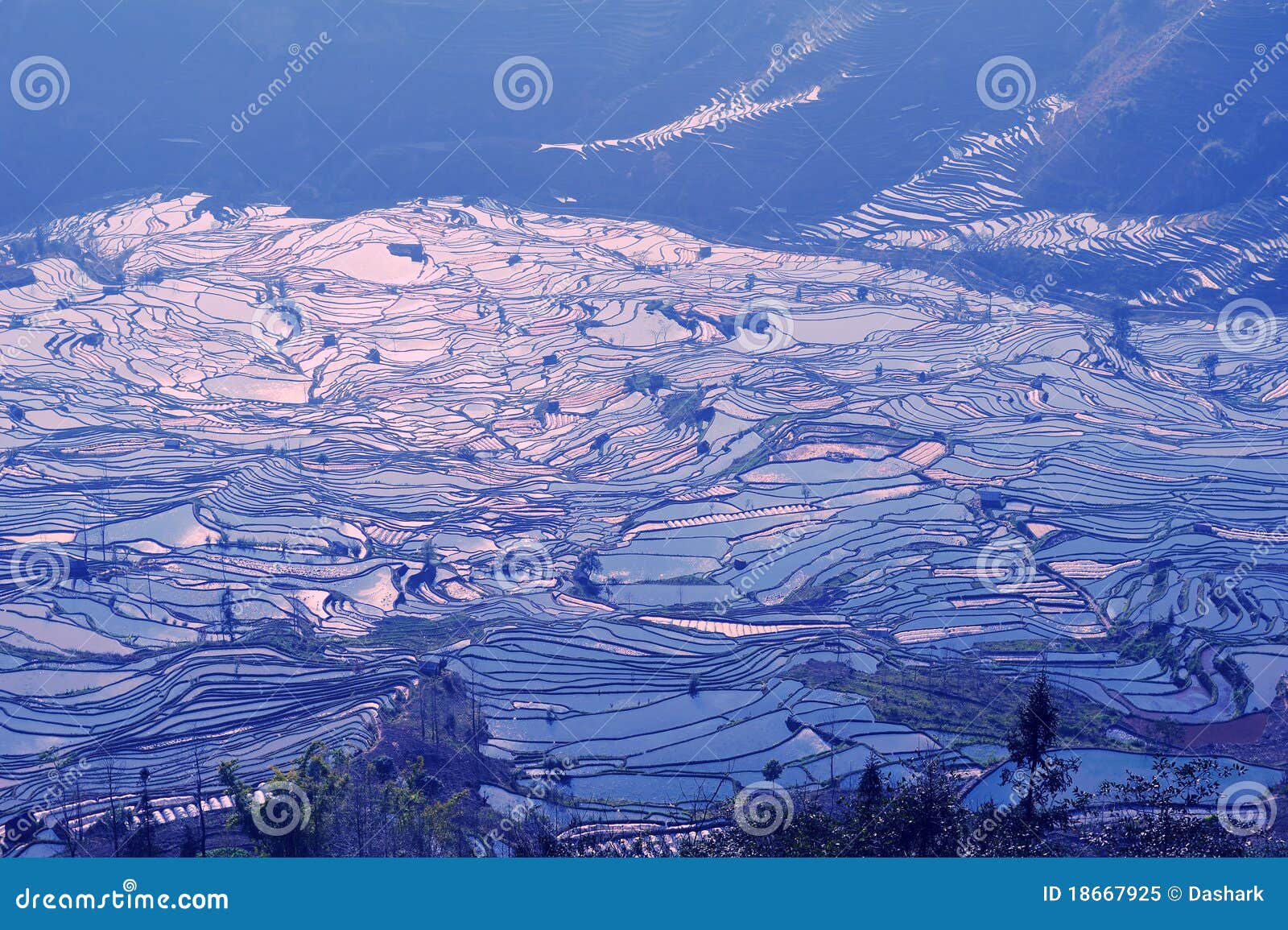 Rice terraces of yuanyang stock image. Image of culture - 18667925