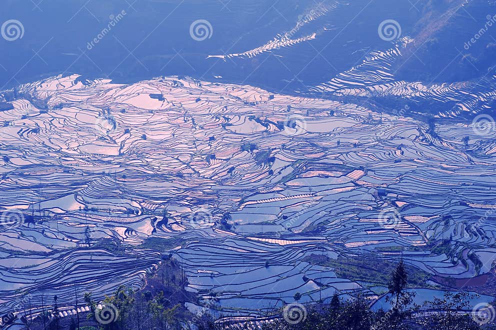 Rice terraces of yuanyang stock image. Image of culture - 18667925
