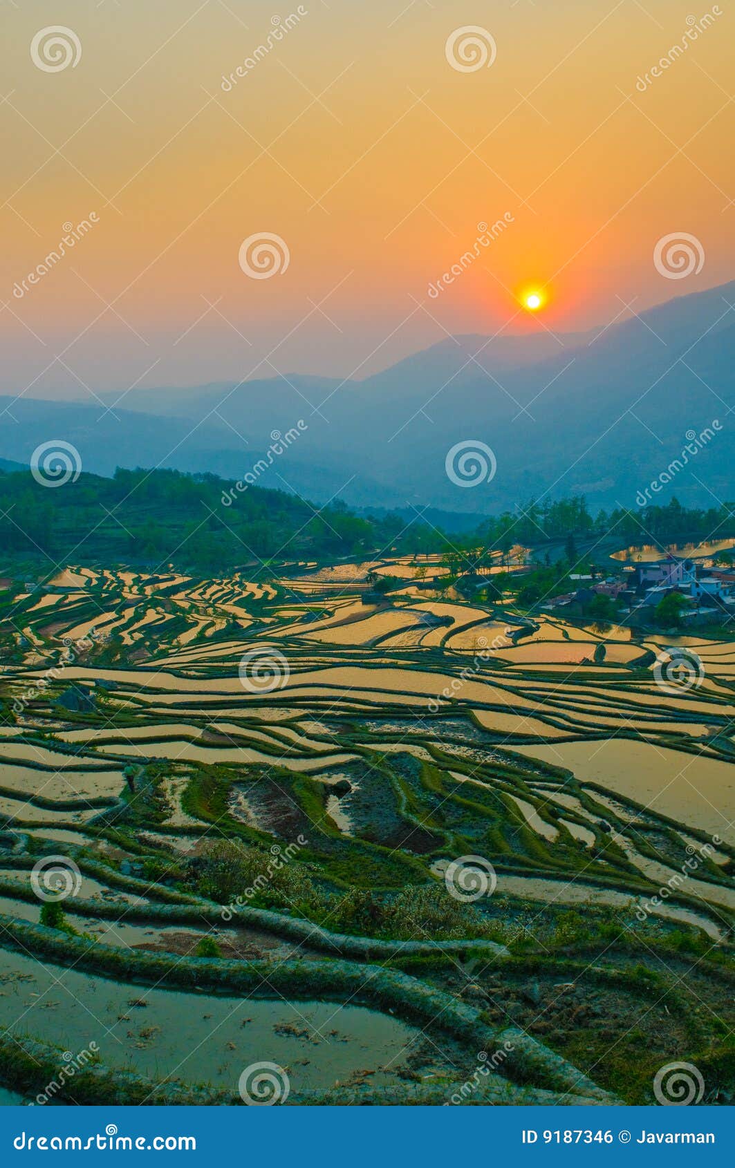 Rice Terraces of Yuanyang, Yunnan, China Stock Photo - Image of asia ...