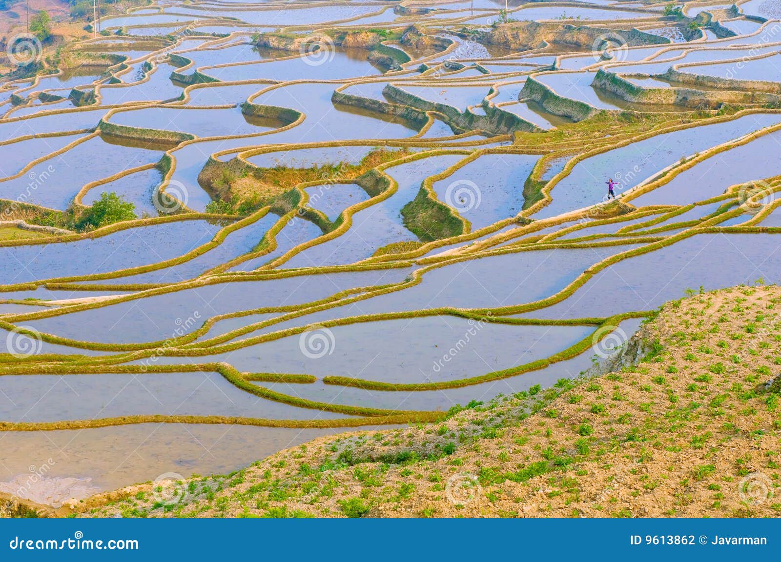 Rice Terraces of Yuanyang, Yunnan, China Stock Photo - Image of pattern ...
