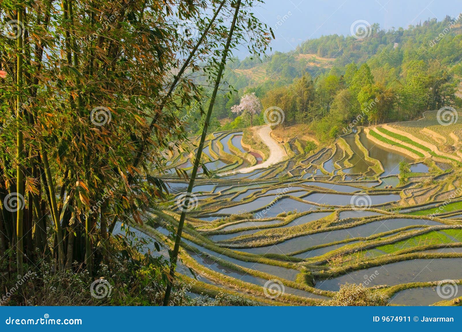 Rice Terraces of Yuanyang, Yunnan, China Stock Image - Image of ...