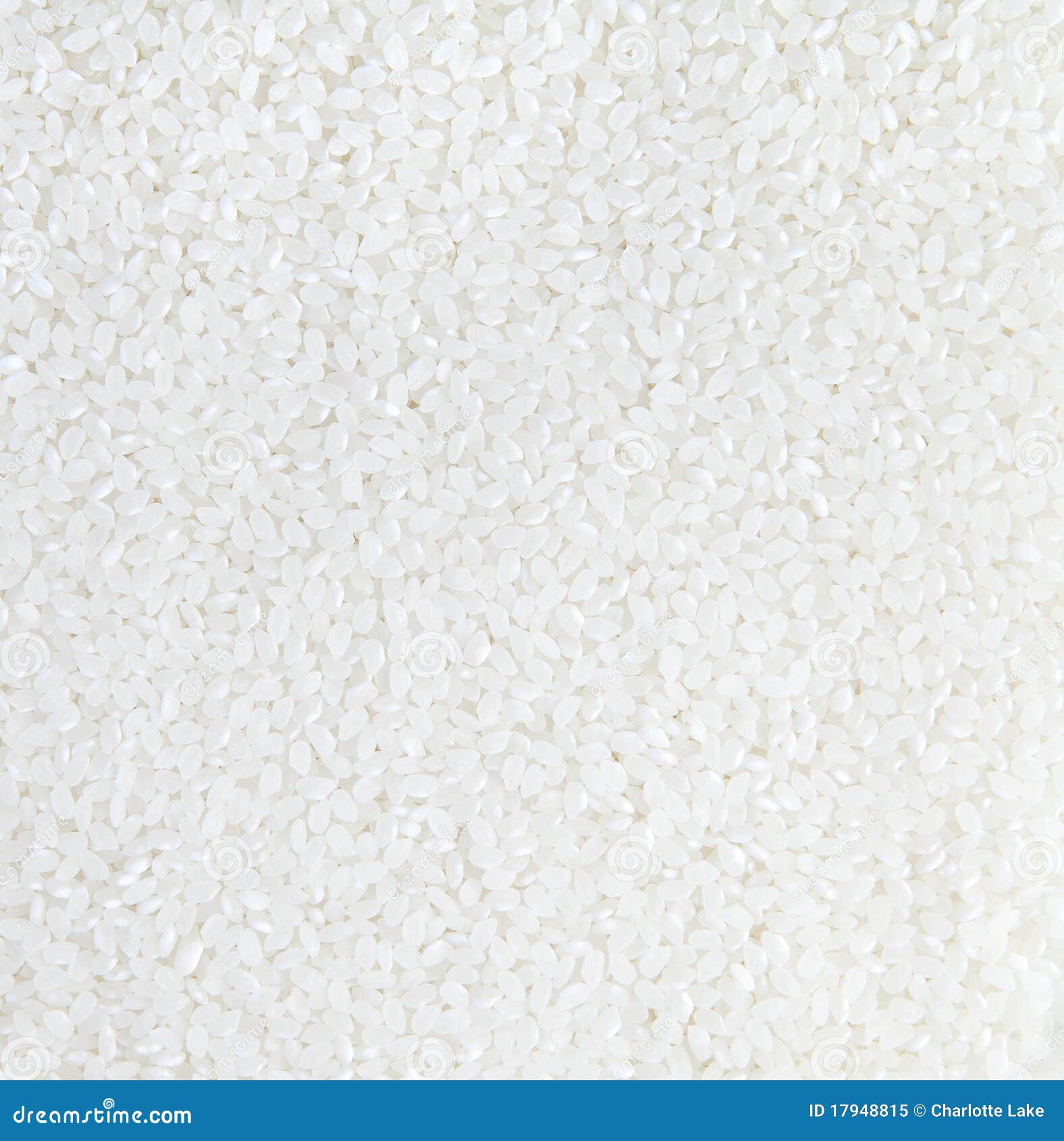 Rice Texture. stock image. Image of pattern, sushi, grain - 17948815
