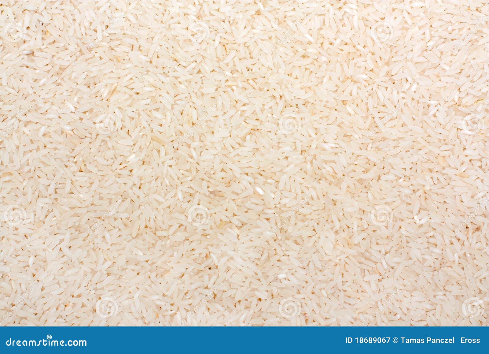 Rice Texture Royalty-Free Stock Photo | CartoonDealer.com #18689067
