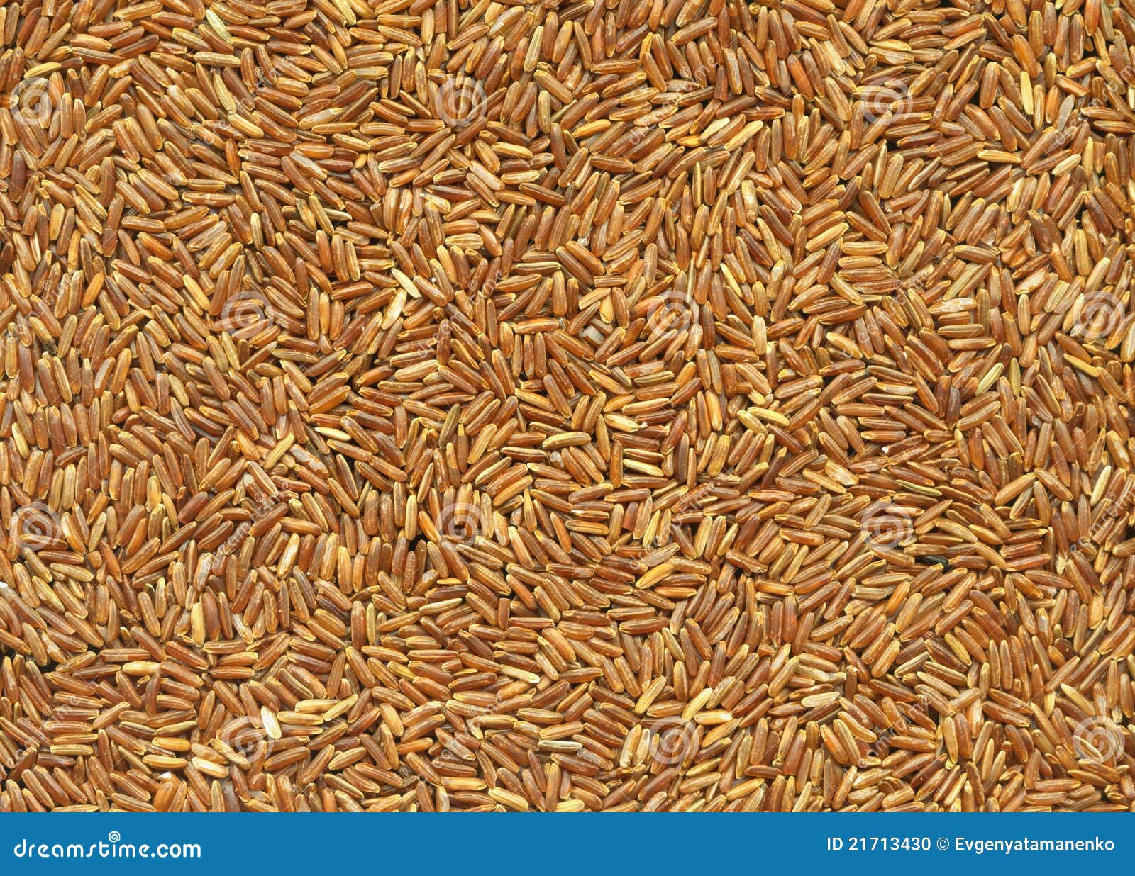 Rice texture stock photo. Image of cereal, close, culinary - 21713430