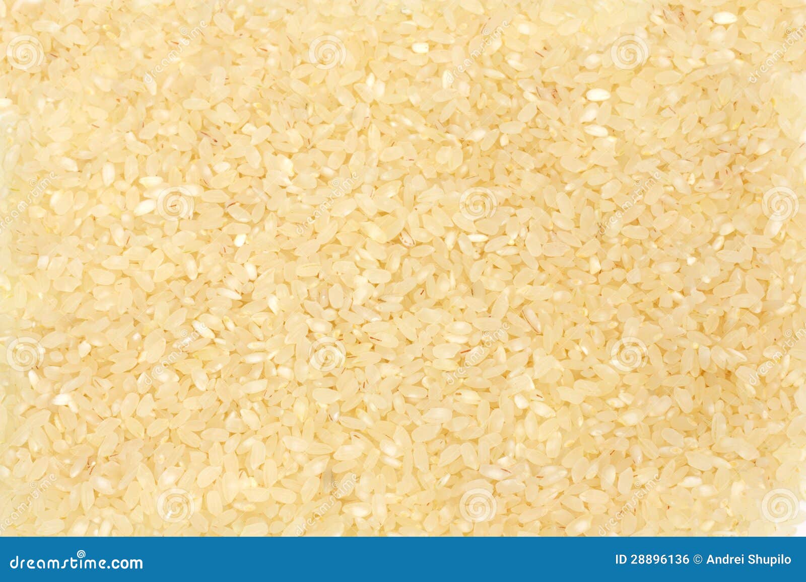 Rice texture stock photo. Image of background, food, agriculture - 28896136