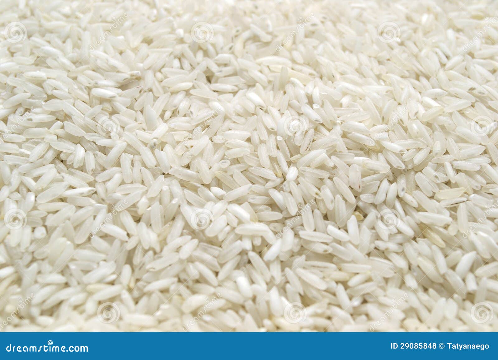 Rice texture stock photo. Image of diet, japanese, food - 29085848