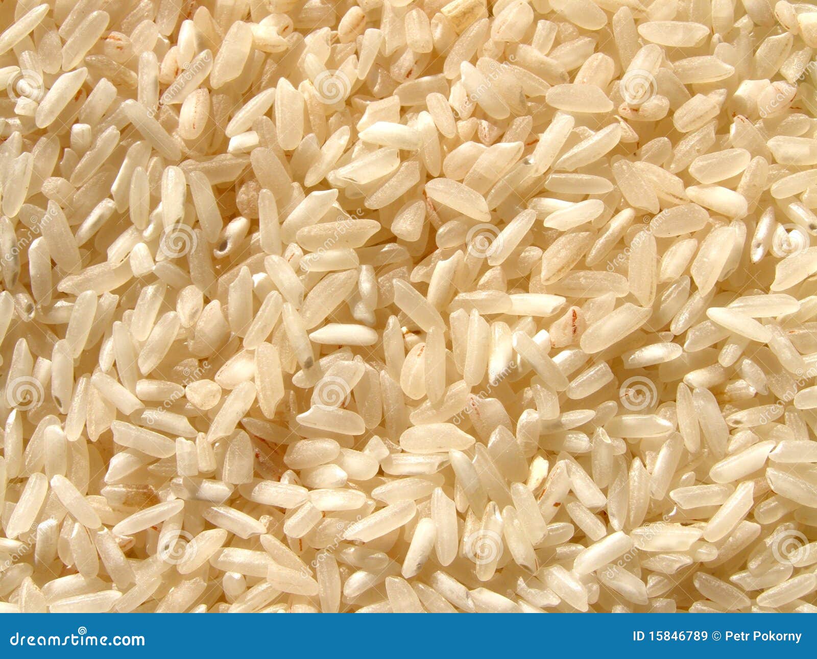 Rice texture background stock image. Image of food, tasty - 15846789