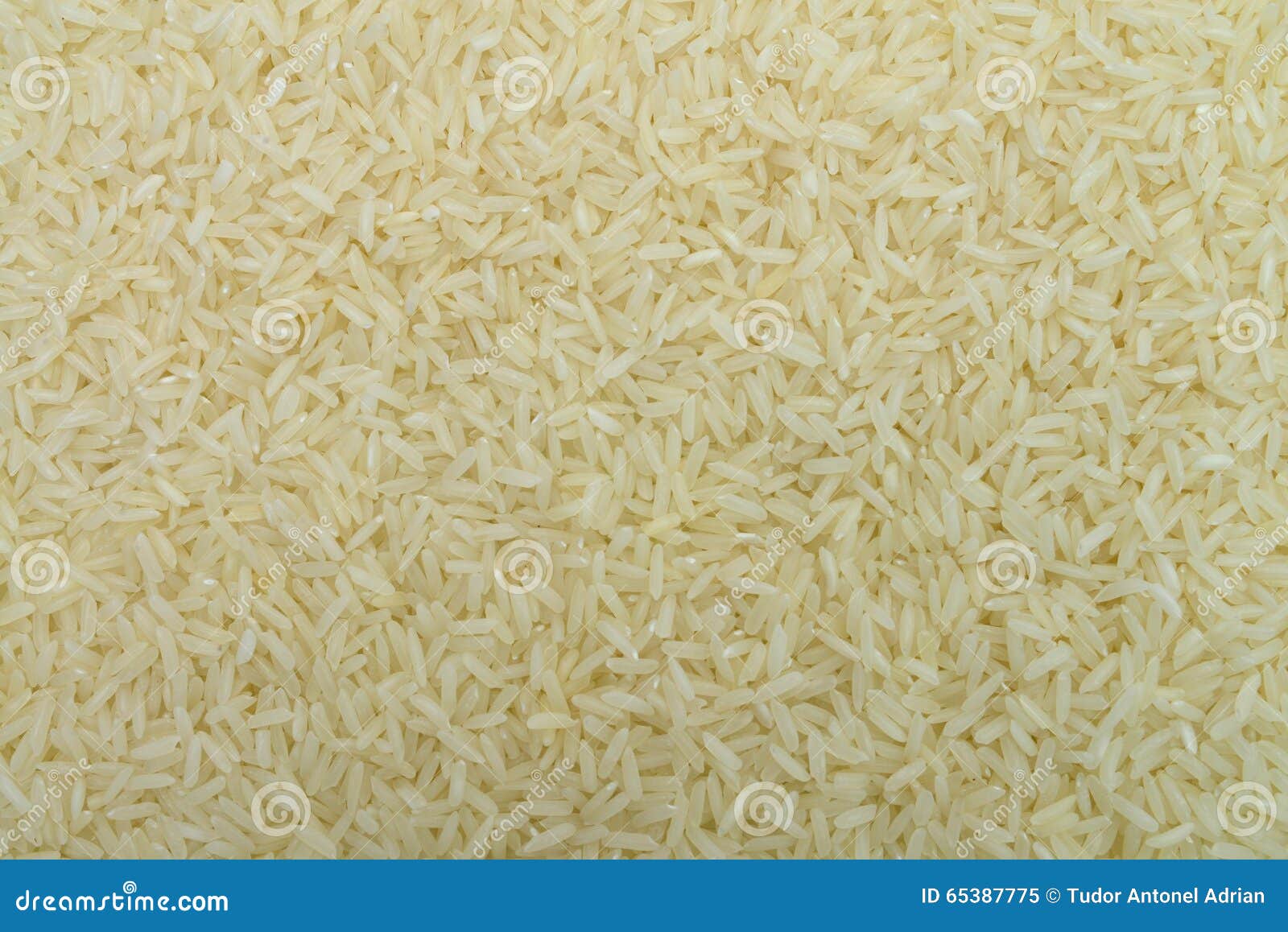 Rice texture background stock image. Image of detail - 65387775