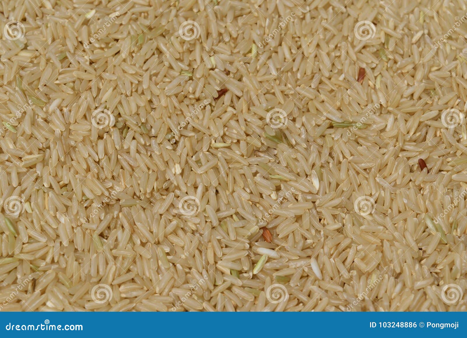 Rice texture stock photo. Image of culture, abstract - 103248886