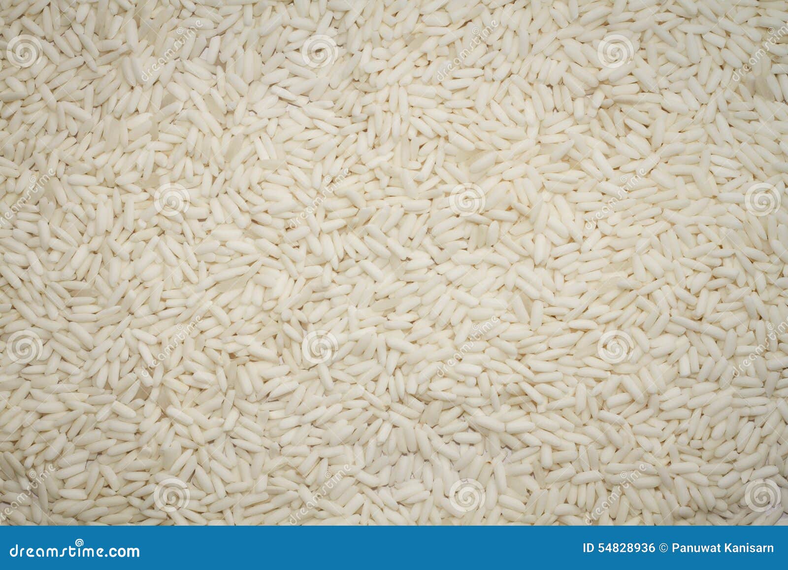 Rice texture stock photo. Image of white, abstract, organic - 54828936