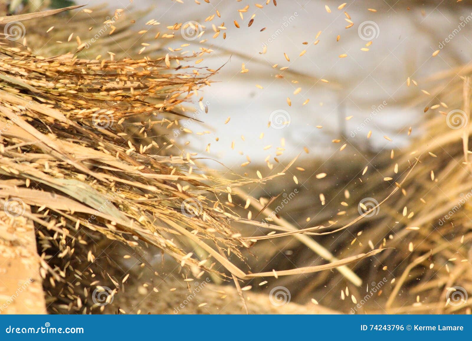 Ri Bhoi Stock Photos - Free & Royalty-Free Stock Photos from Dreamstime