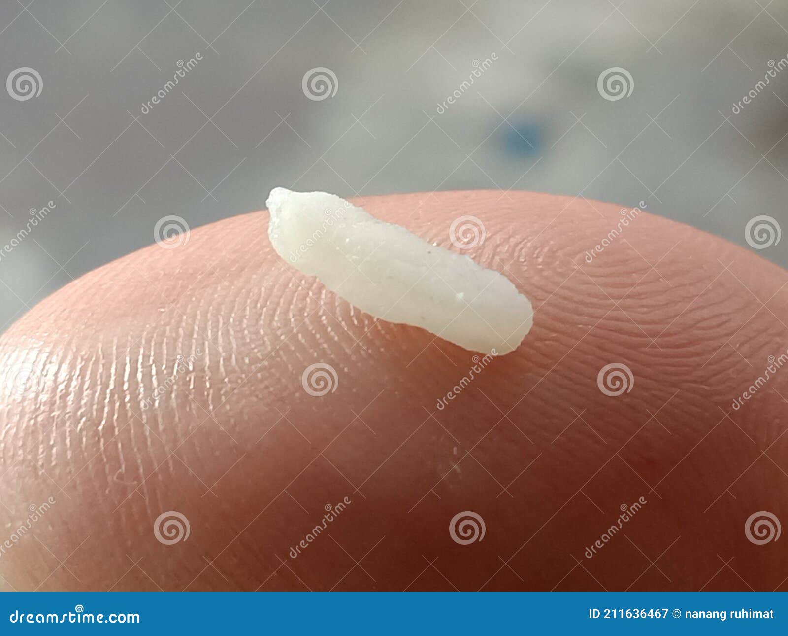 Rice on thumb stock image. Image of hand, thumb, rice - 211636467