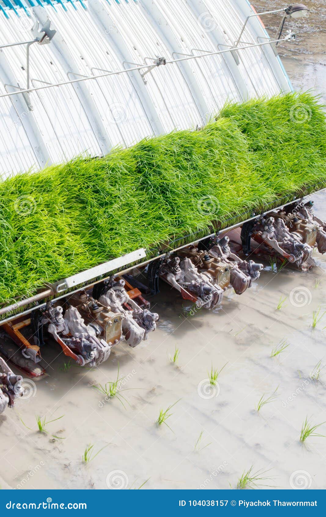Rice transplanter machine. stock image. Image of asian - 104038157