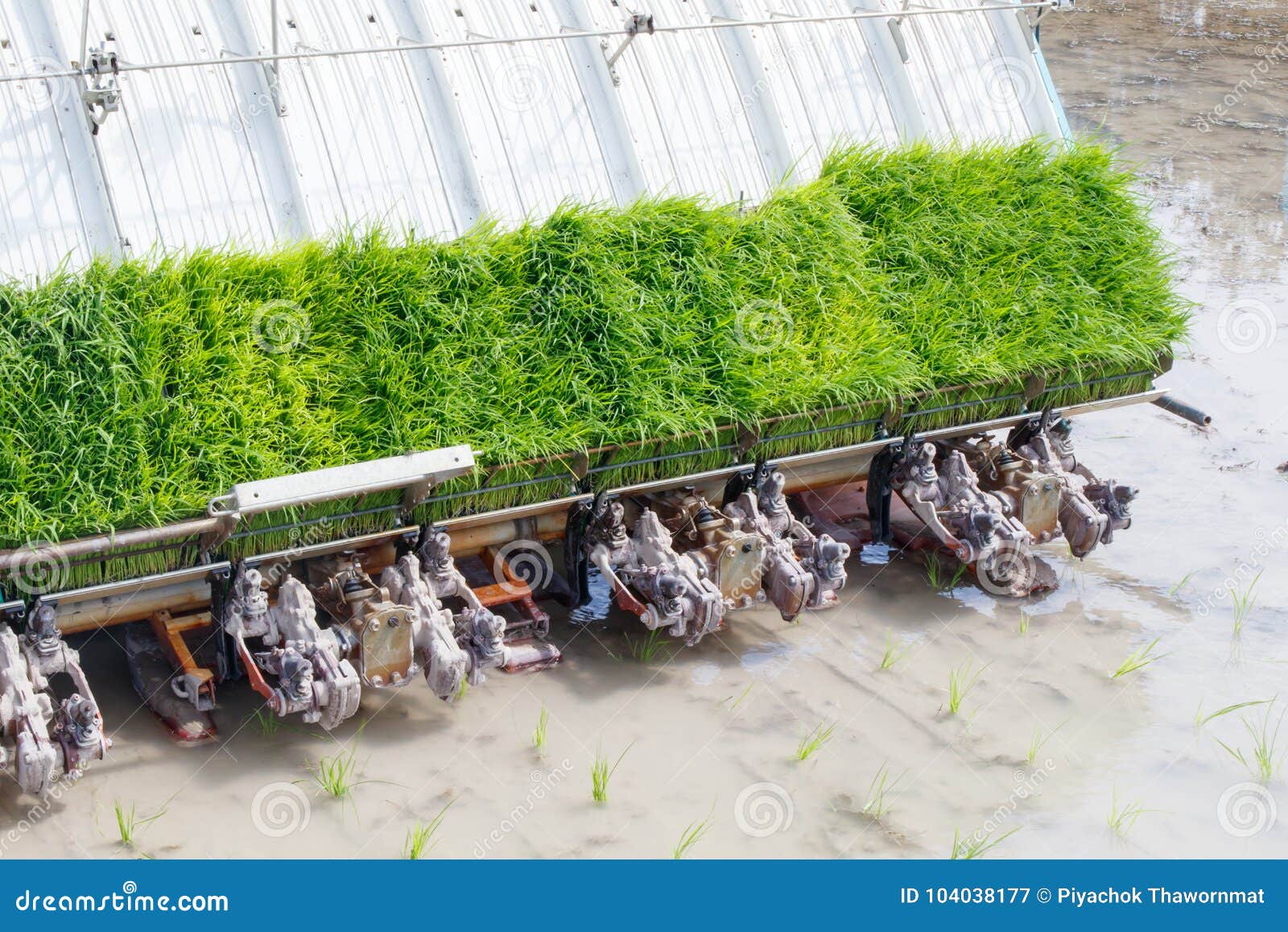 Rice transplanter machine. stock image. Image of paddy - 104038177