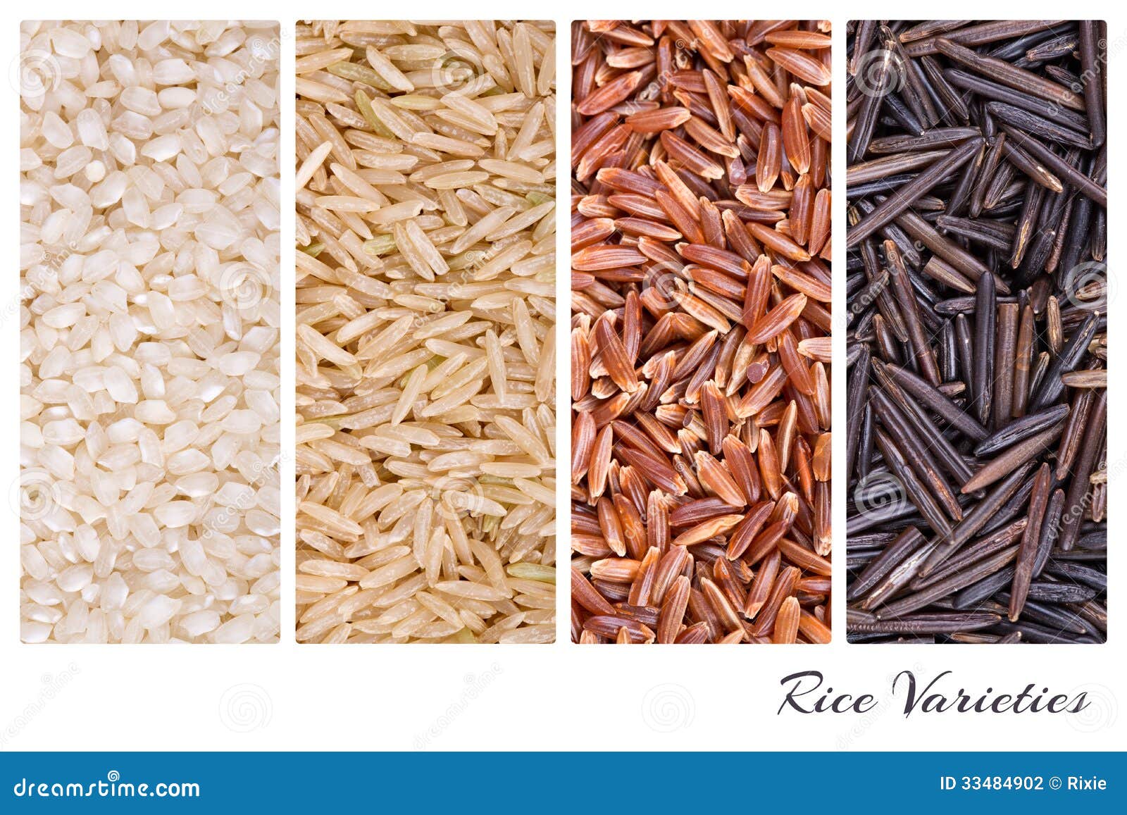 Wild Rice Varieties at Mary Wilber blog