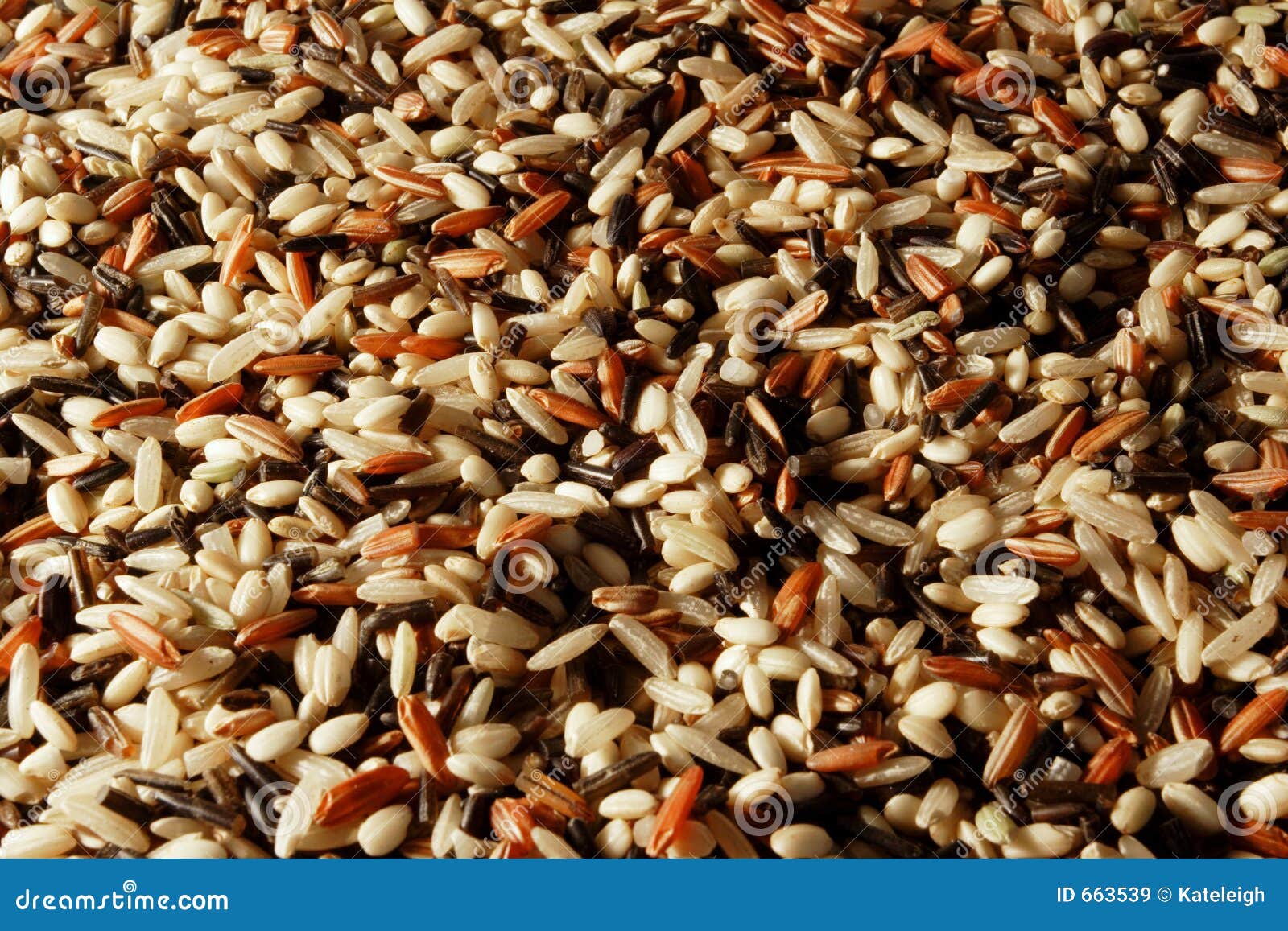 Rice Variety Background stock image. Image of grain, background - 663539