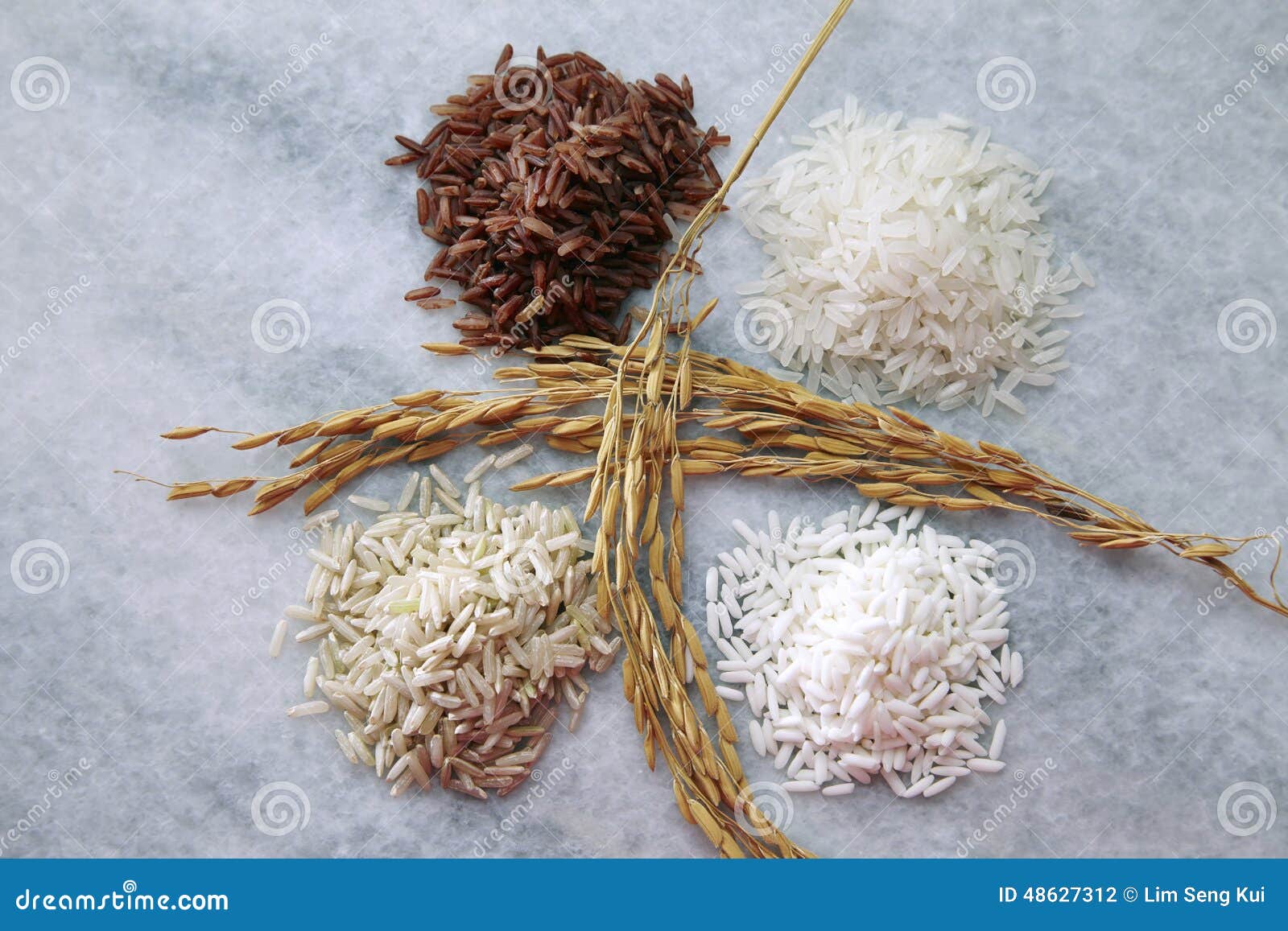 Rice variety stock photo. Image of uncooked, cereal, harvest - 48627312