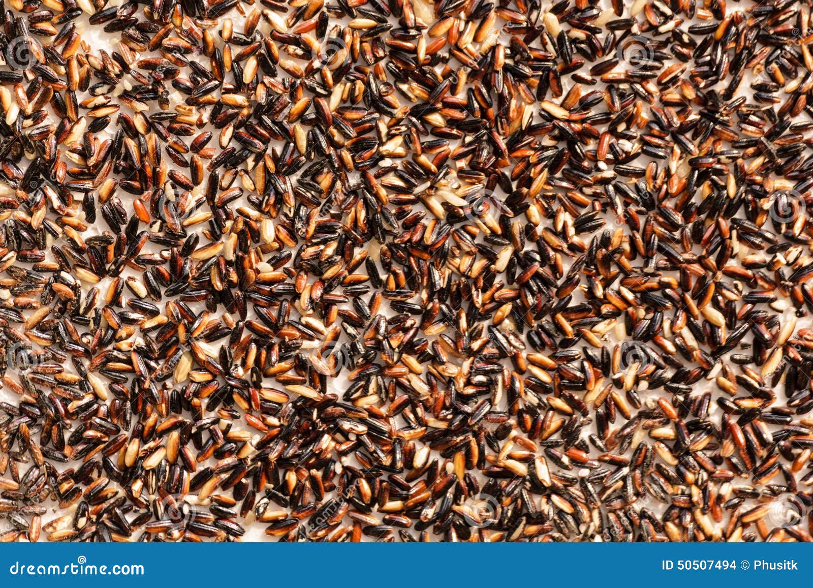 Rice wall stock photo. Image of food, healthy, asian - 50507494