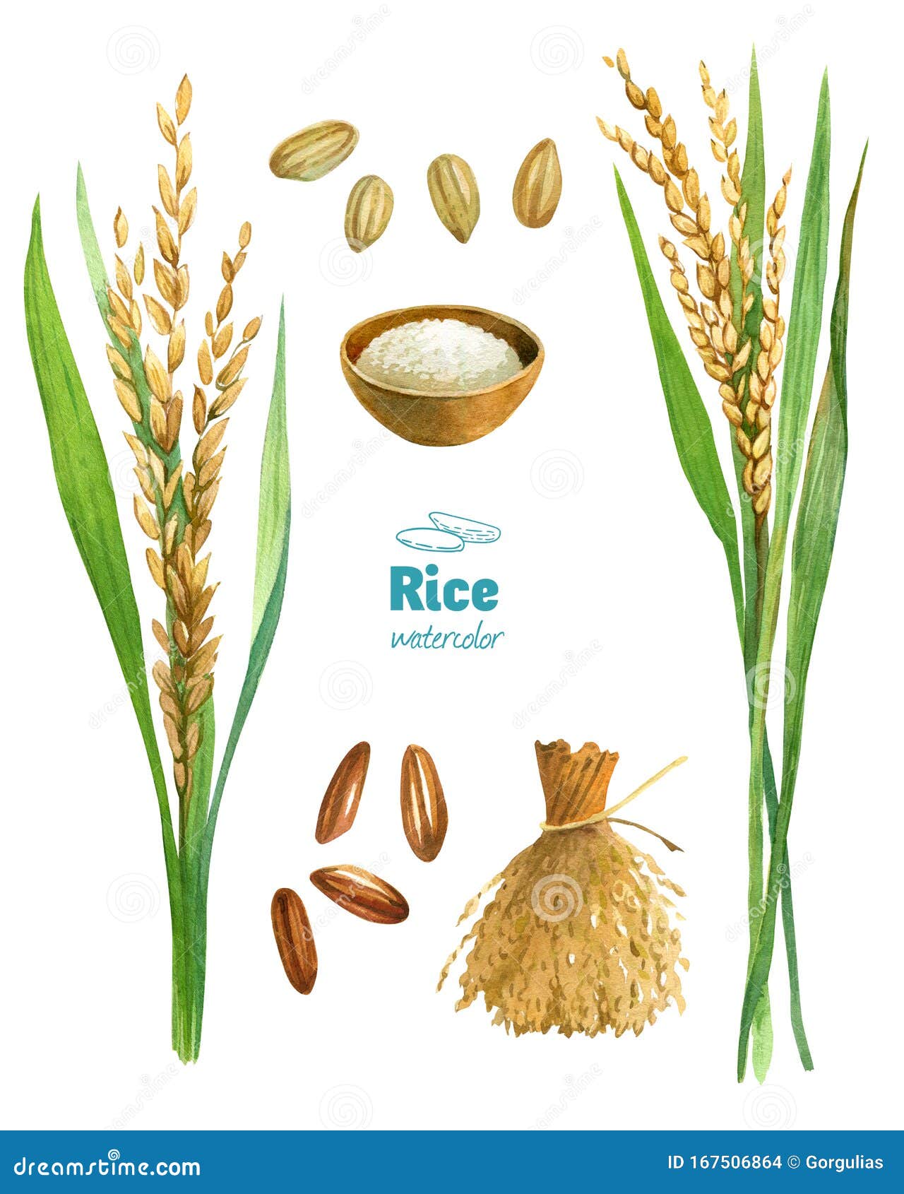 Rice Watercolor Illustration Set with Clipping Paths Stock Illustration ... Rice Watercolor Illustration Set with Clipping Paths Stock Illustration ...