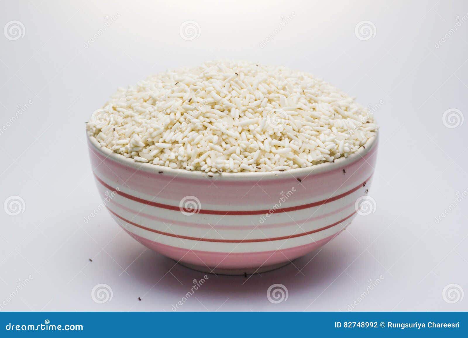 Rice Weevil with Rice Be Imperfect in the Bowl. Stock Photo - Image of ...